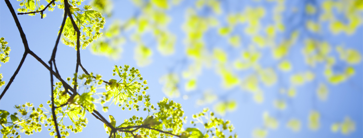 Etusivu - Lähiapteekit